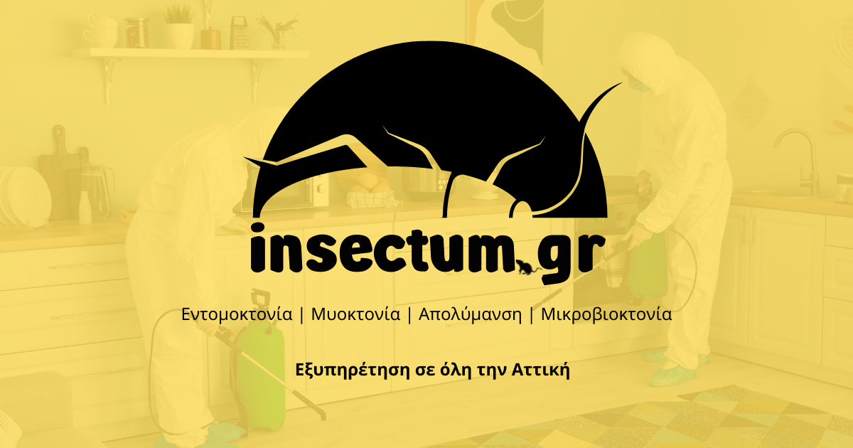 Απολύμανση - Απεντόμωση - Μυοκτονία | Insectum.gr
